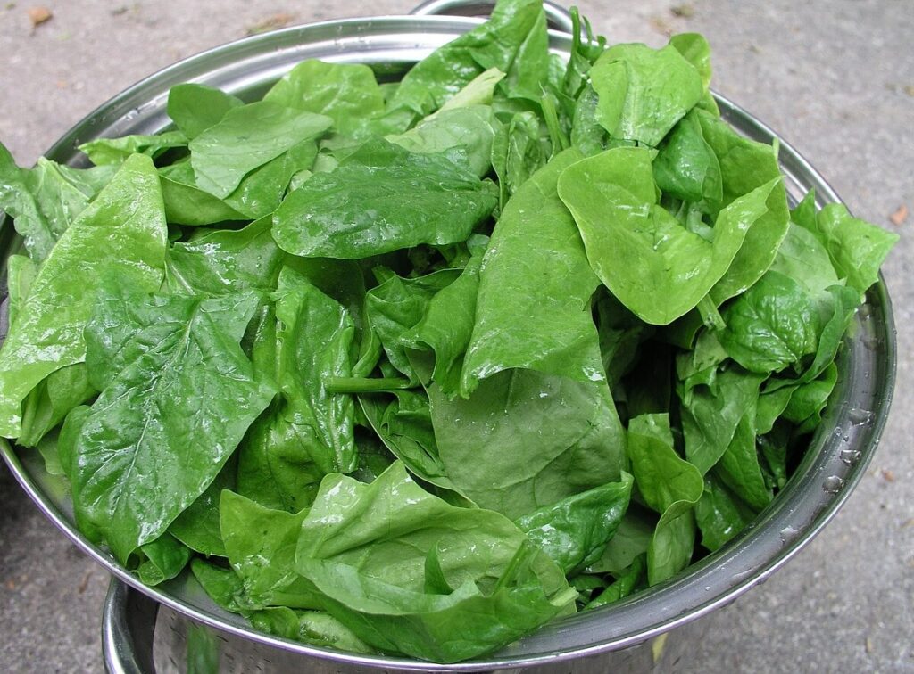 Why Your Spinach Smoothie Isn’t Fixing Your Iron Deficiency - The Call Of